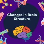 The Science Behind Addiction: What Happens in the Brain? - Drug Rehab ...